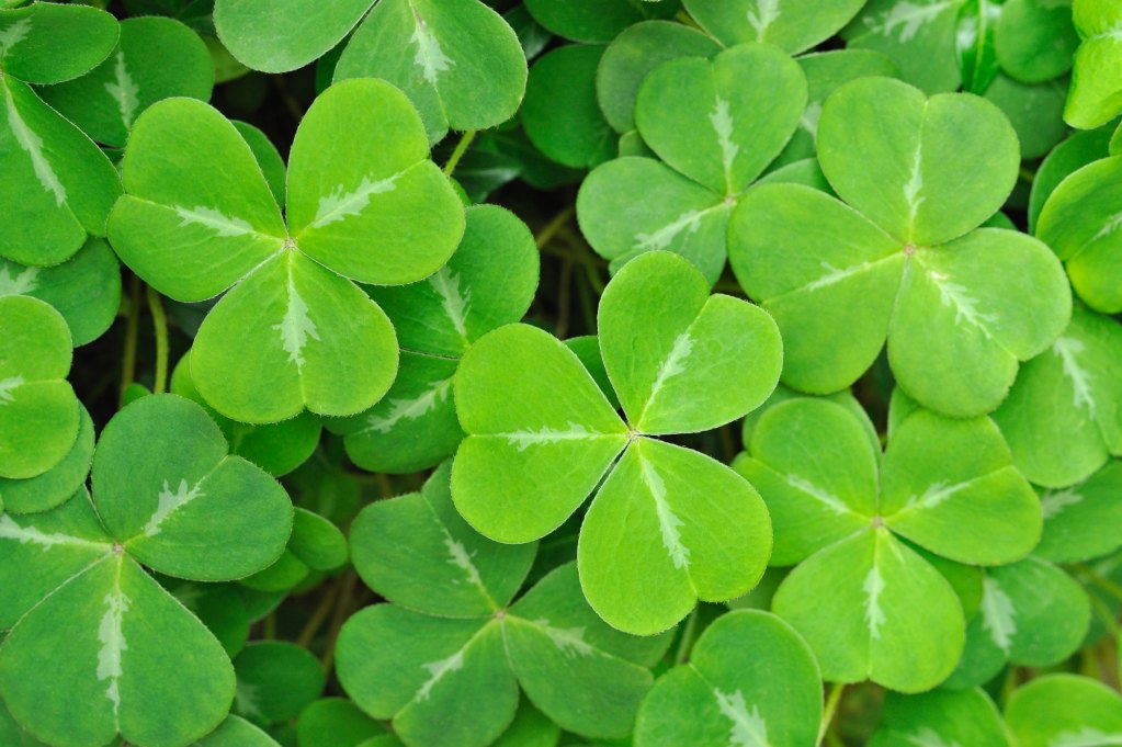 Analogies of the Trinity: Moving Beyond Eggs & Apples - Bryan Litfin